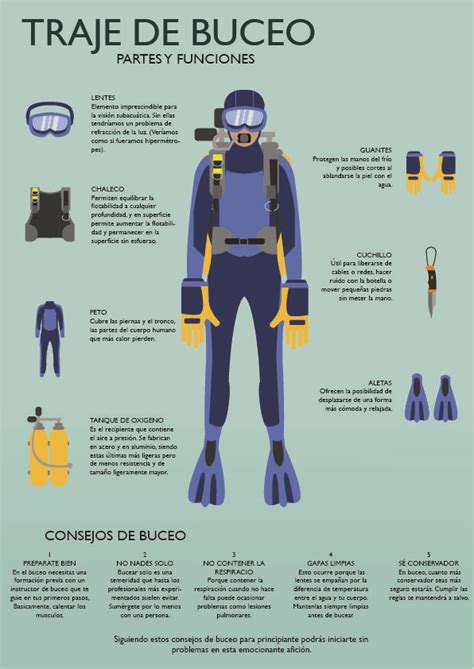 Buceo En El Mar Libro De Biologia Consejos De Natación Equipo De Buceo