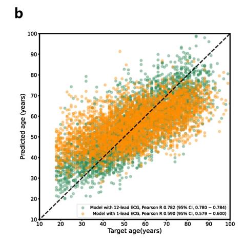 Performance Of Sex Prediction Model Receiver Operating Characteristic Download Scientific