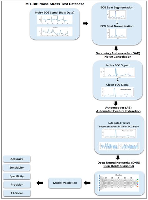 deep learning based stacked denoising and autoencoder for ecg heartbeat