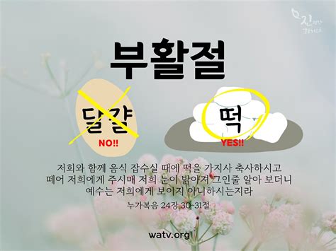 부활절 날짜는 무교절 후 안식일 다음날 입니다
