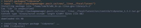 Make Your Own Cran Like Repository With Linux Binary R Packages R
