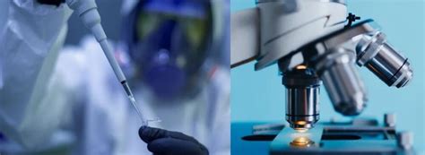 Biomedical Informatics Program Galala University