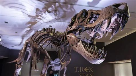 Has T Rex Lost Its Bite Menacing Snarl May Be Wrong Buzz News News18