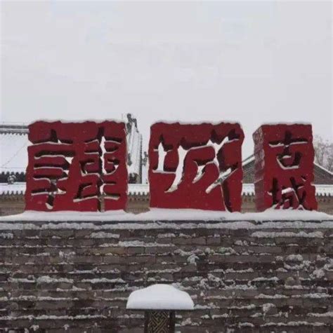 瑞雪迎新春 雪花 街道 大地