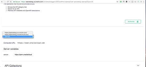 Provide An Easy Way To Enter Custom To Try It Feature Issue 4735