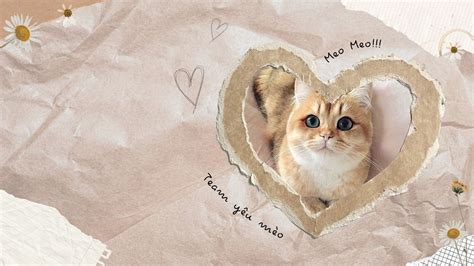 Bộ Sưu Tập Hình Nền Máy Tính đẹp Cute Cực Chất Full 4k Có Hơn 999 Tấm