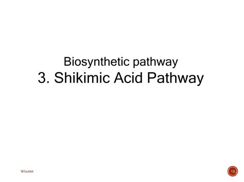 Biosynthesis Pptx Ppt