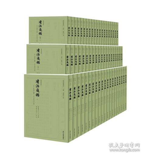 资治通鉴 宋司马光编著 元胡三省注 影印清胡克家刻本 四部要籍选刊 浙江大学出版社 共60册 司马光编著 元胡三省注 孔夫子旧书网