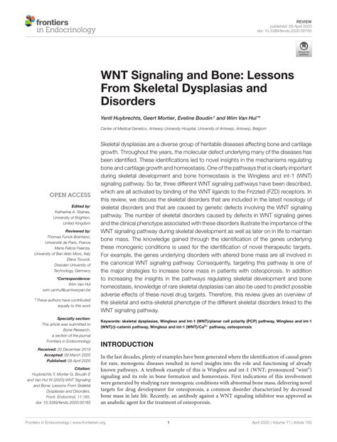 Pdf Wnt Signaling And Bone Lessons From Skeletal Dysplasias And