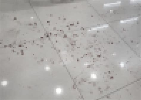疑不滿同志情侶接吻 中壢男超商持刀砍人