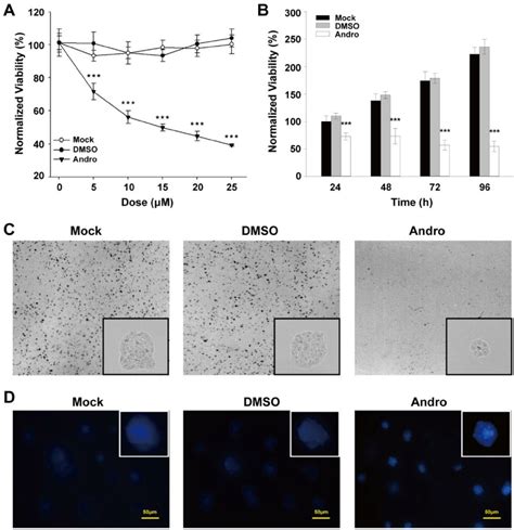 Andro Suppresses Cell Proliferation And Clonogenicity And Induces Cell