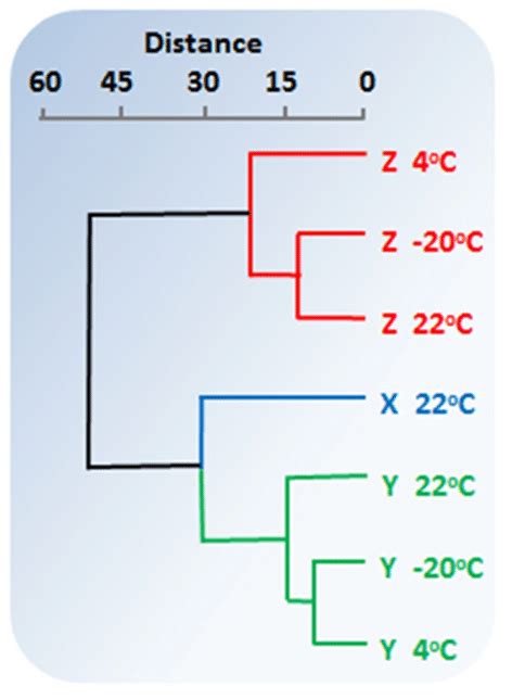 Cluster Analysis Results Showing Similarity Between Groups X And Y And Download Scientific
