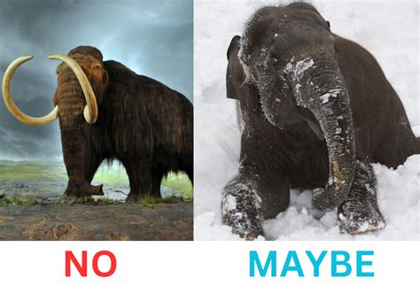 De Extinction Surely Youre Joking