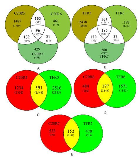 Overlapping Of Unique Peanut Est Sequences A Common And Unique Sets