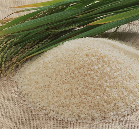 栃木の農畜産物 JA全農とちぎ