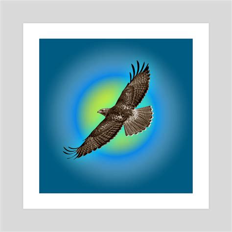 Brown Hawk Flying In The Sky An Art Print By Digitapics Inprnt