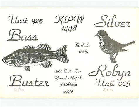 Risque Sexy Girl Qsl Ham Radio Card Grand Rapids Michigan Mi T1529