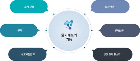 줄기세포란 줄기세포 N Biotek