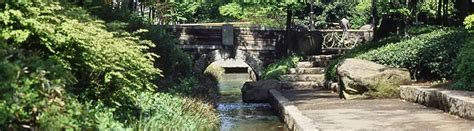 玉川上水緑道公園へ行こう