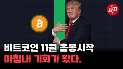 비트코인 11월봉 음봉 시작 기회가 왔다 Youtube