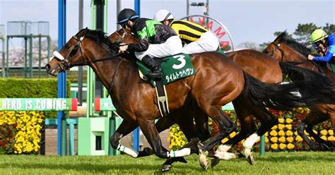 4歳馬か東京実績馬か エプソムcを占う！（jra Vanコラム）｜スポーツ情報はdメニュースポーツ