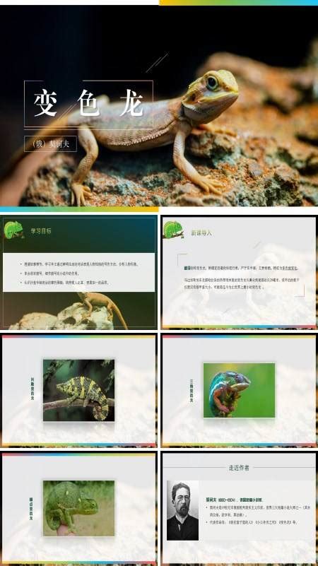 龙PPT 龙PPT模板下载 麦克PPT网