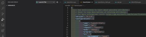 Go Golang Debug In Vscode On Macos Issues Stack Overflow