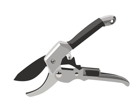 Gardening Pruning Scissor Isolated Spring Care Secateurs Branch
