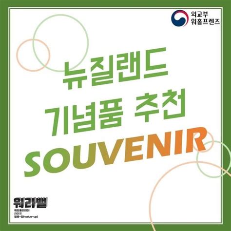 뉴질랜드 추천 쇼핑 리스트😋🎁 꿀 영양제 초콜릿 등등 재외동포청 워킹홀리데이 인포센터