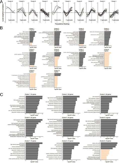 Correlation Testing Of Cholangiocyte Branch Using Schot A Line Plots Download Scientific