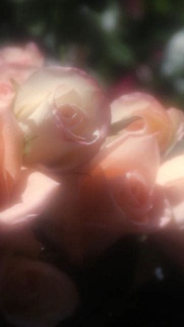 Rcdghost Cd Ghost On Instagram “on My Mind” Is Out Next Thursday 91 • • Rsynthpop