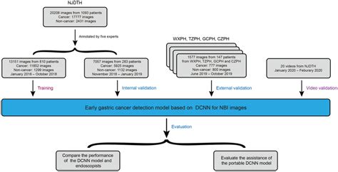 A Flowchart For The Development And Validation Of The Dcnn System For