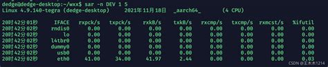 Sar — Linux 上最为全面的系统性能分析工具之一sar检测工具官网 Csdn博客