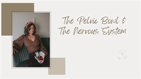 The Nervous System The Pelvic Bowl — Waking Womb