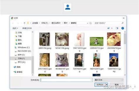 Vue图片上传与显示 Csdn博客