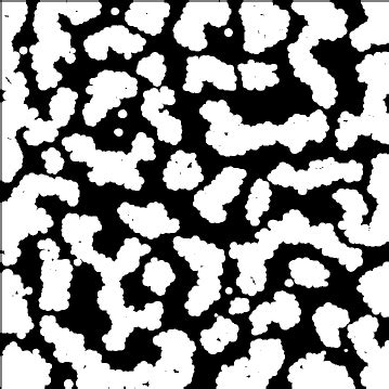 Figure B Example Of Regular Turing Like Patterns Download Scientific Diagram
