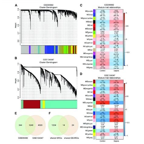 Identification Of Autophagy Related Key Genes In Sepsis Ab
