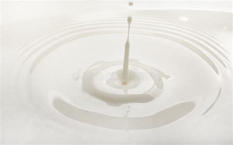 Gota De La Leche Foto De Archivo Imagen De Bebida Frescura 10338888