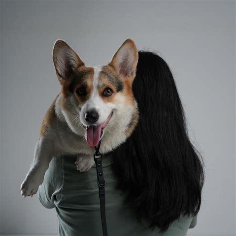 Sesión De Fotos De Perros Detrás De Escena Foto Premium