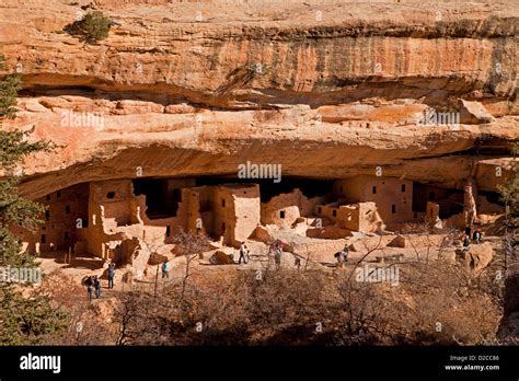Spruce Tree House Cliff Dwelling Of Pre Columbian Anasazi Indians And