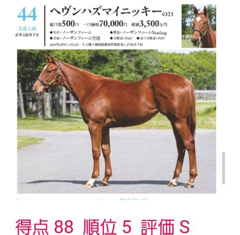 【シルク】キャンセル募集はお見送り アラカン優優の一口馬主ライフ