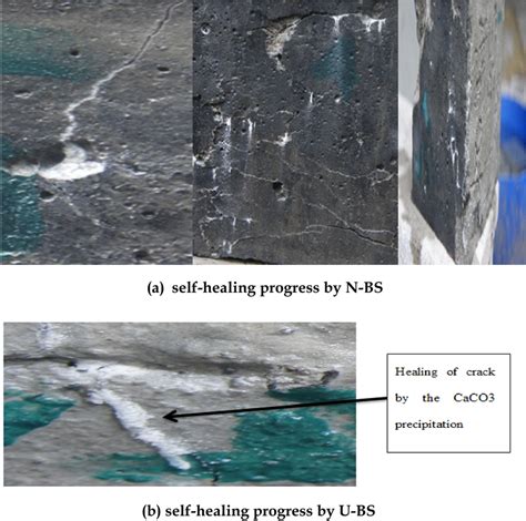 Self Healing Of Cracks In Concrete A Self Healing Progress By N Bs B