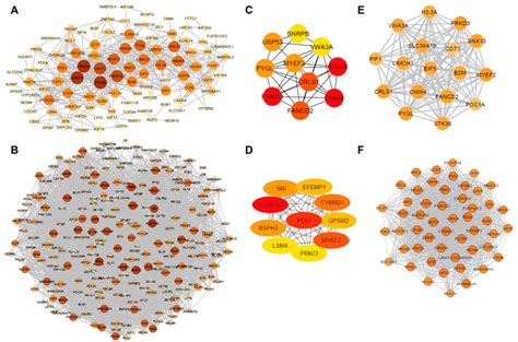 Frontiers Gene Co Expression Network Analysis Revealed Novel