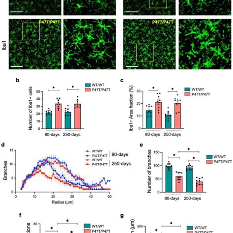 Ipa Upstream Regulators And Gsea Hallmark Gene Set Analysis A Bar