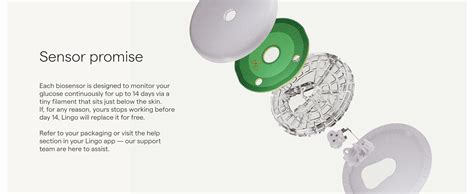 Lingo Continuous Glucose Monitor Cgm And App Made By