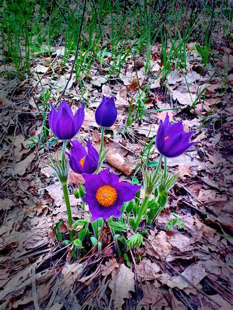 В поисках пещеры братьев Греве 02 05 2011г Часть третья — Drive2