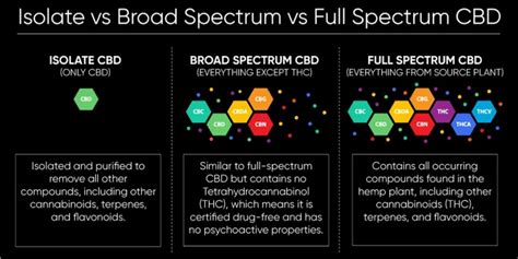 CBD 101 A Guide To The Different Types Of CBD Purity Hemp