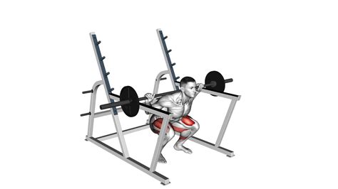 Master The Barbell Low Bar Squat Video Guide And Tips