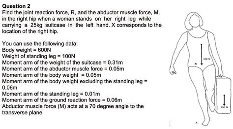 Solved Find The Joint Reaction Force R And The Abductor