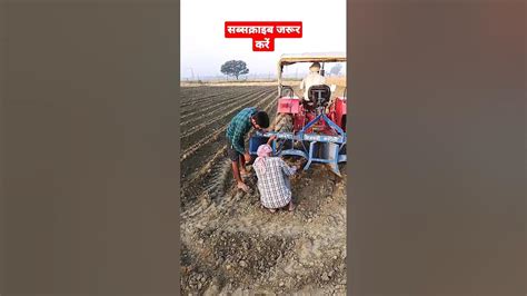 यहक्याहोगया😱आल्हा Aalha Alha Surjanchaitnyakiaalha सुरजन